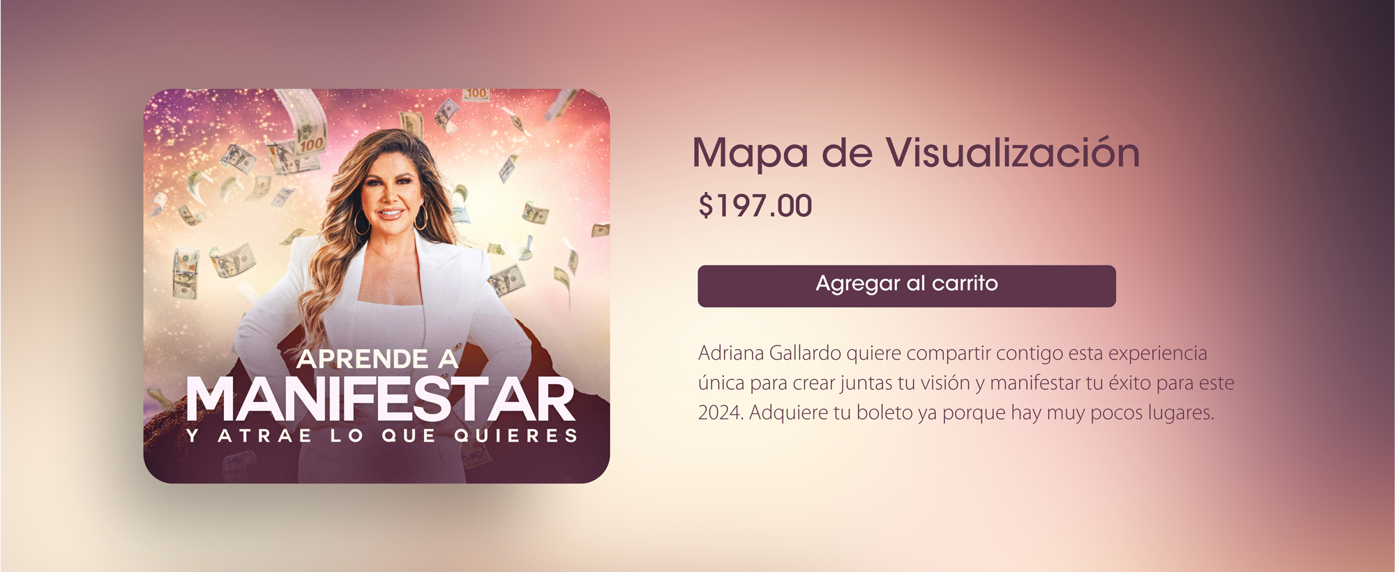 Mapa de visualización – Adriana Gallardo